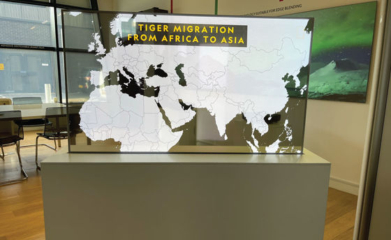 Desktop OLED Transparent Display Wireless Transparent OLED Monitor