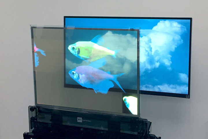 High Brightness OLED Transparent Display , Full Color Clear OLED Screen ...